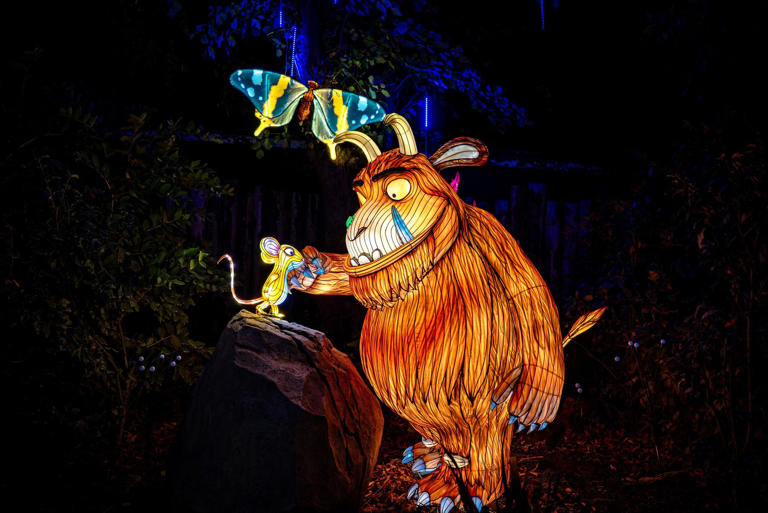 Twycross Zoo offers Universal Credit evenings for ‘Lanterns of the Wild’