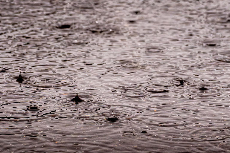 Mass. weather: Warm Thursday to give way to cold, snowy weekend