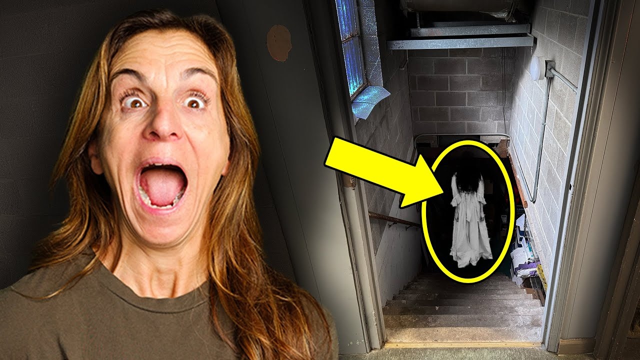 Unusual disturbances turn a routine zoo into a mystery