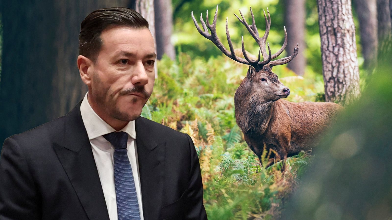 Waffen-Wende im Jagd-Skandal – Benko wieder im Visier