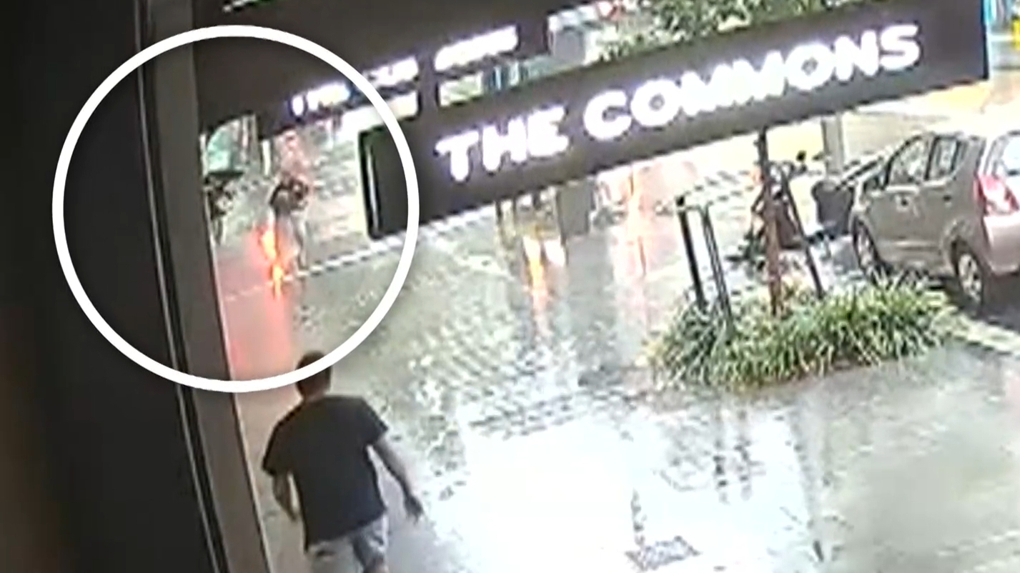 Dog killed after being electrocuted by hidden danger on Sydney footpath