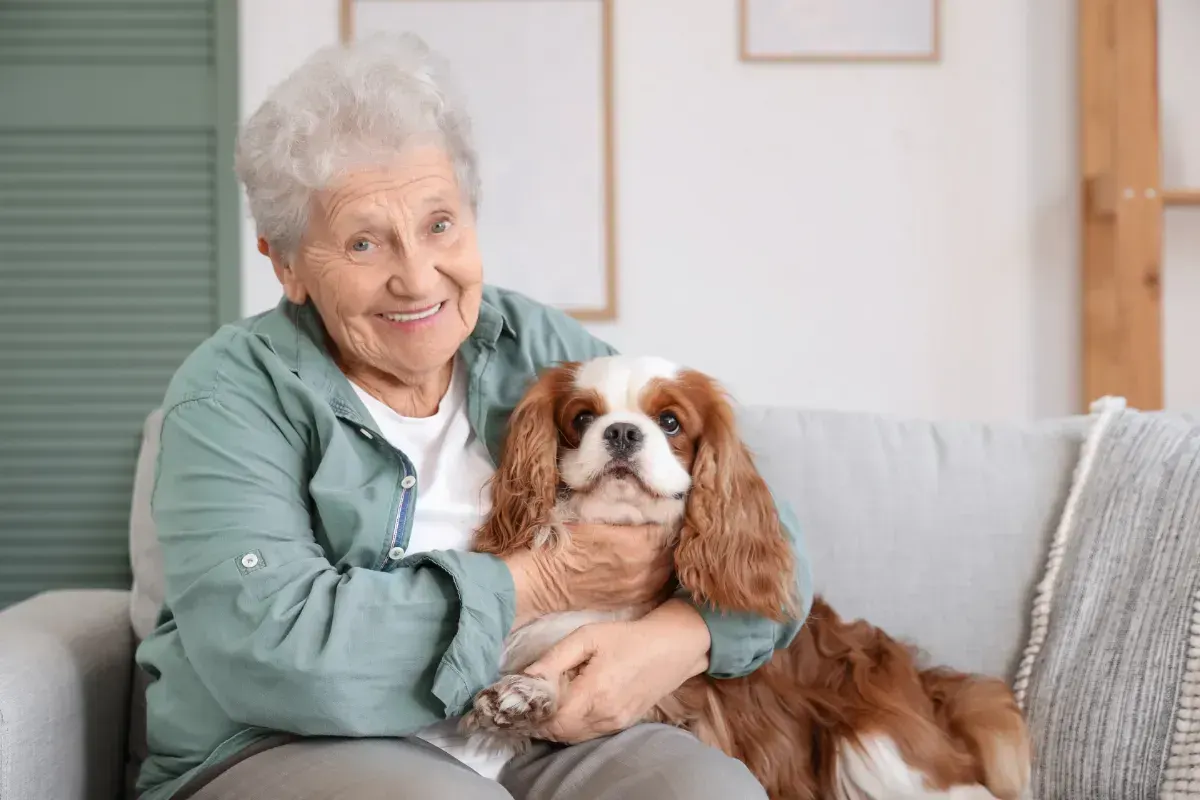 Réversion en 2026 : pourquoi toucher la pension d’un ancien salarié ...