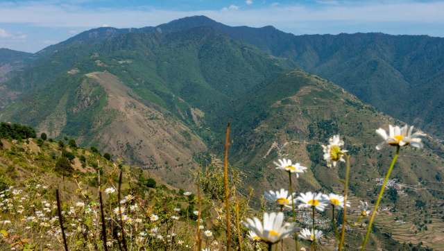 Officials thrilled as trail cameras capture remarkable images of iconic ...