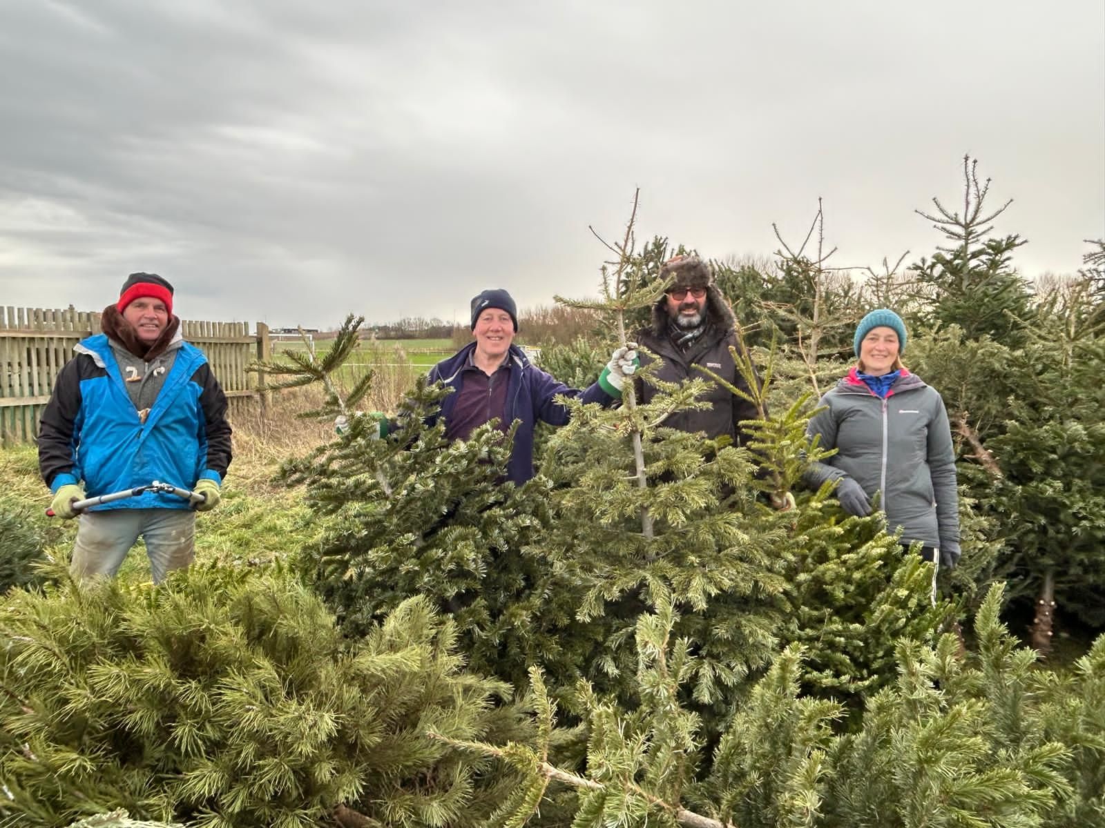 We reached an amazing record of £37k with our Christmas tree collection