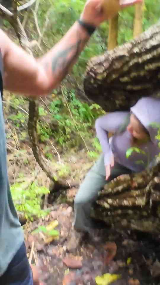 A day in the life - Jungle Beach House adventures in Panama