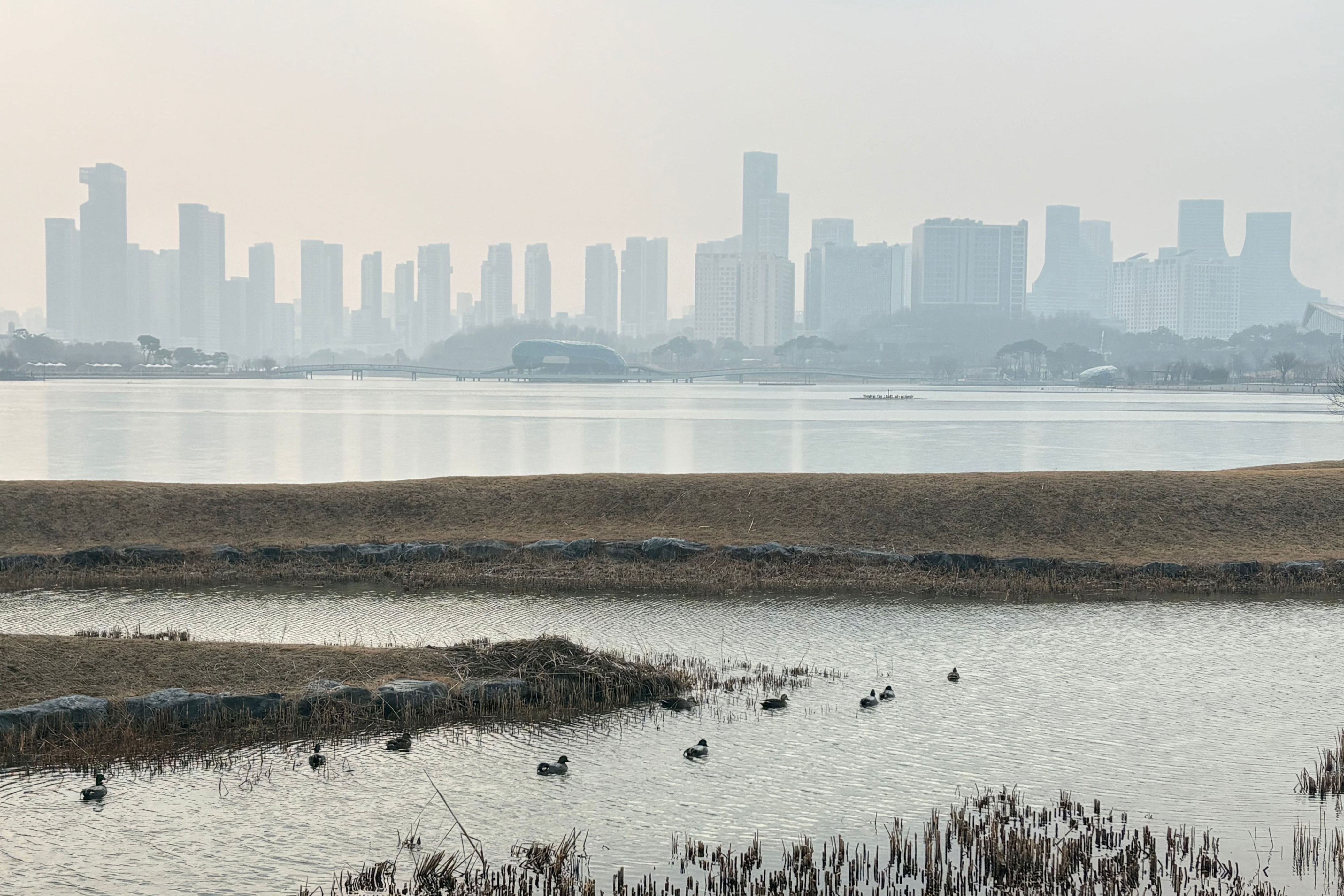 Prime Minister Kim directs emergency fine dust measures in Chungcheong ...
