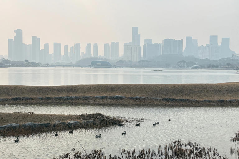 Prime minister orders emergency fine dust measures