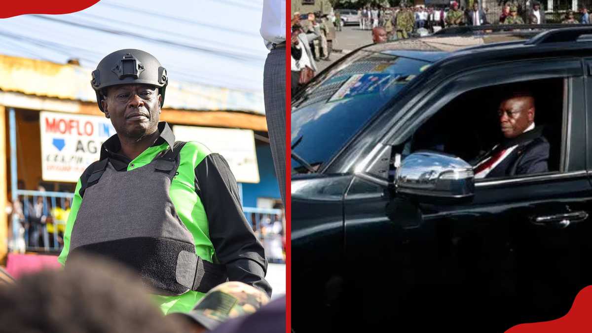 Gathoni Wamuchomba claims Gachagua purchased armored cars worth KSh ...
