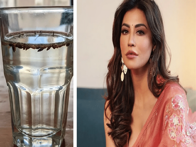 Thick hair, glowing skin… 50-year-old Chitrangada Singh swears by this ...