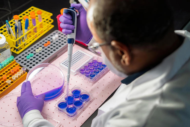 A novel treatment is keeping bone-marrow cancer patients alive