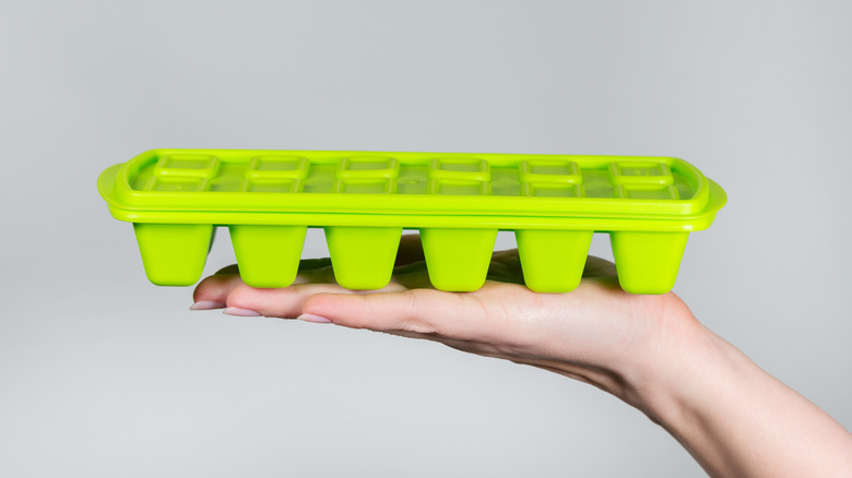 12 unconventional uses for your ice cube tray