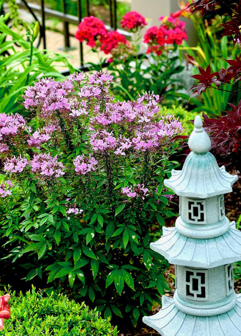 On Gardening: Senorita Rosalita garners Landscape Annual of the Year