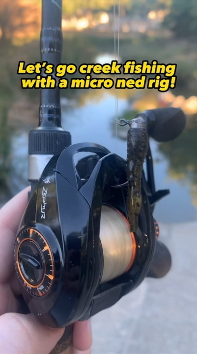 Creek fishing with micro lures is highly underrated! It's even more fun ...