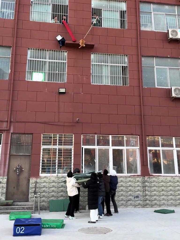 Students team up to save terrified kitten stranded on third-storey