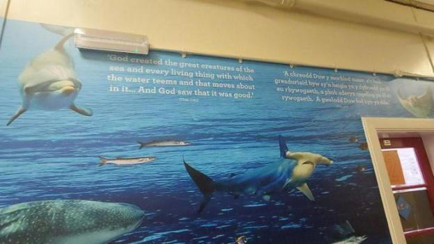 School cleared of promoting creationism