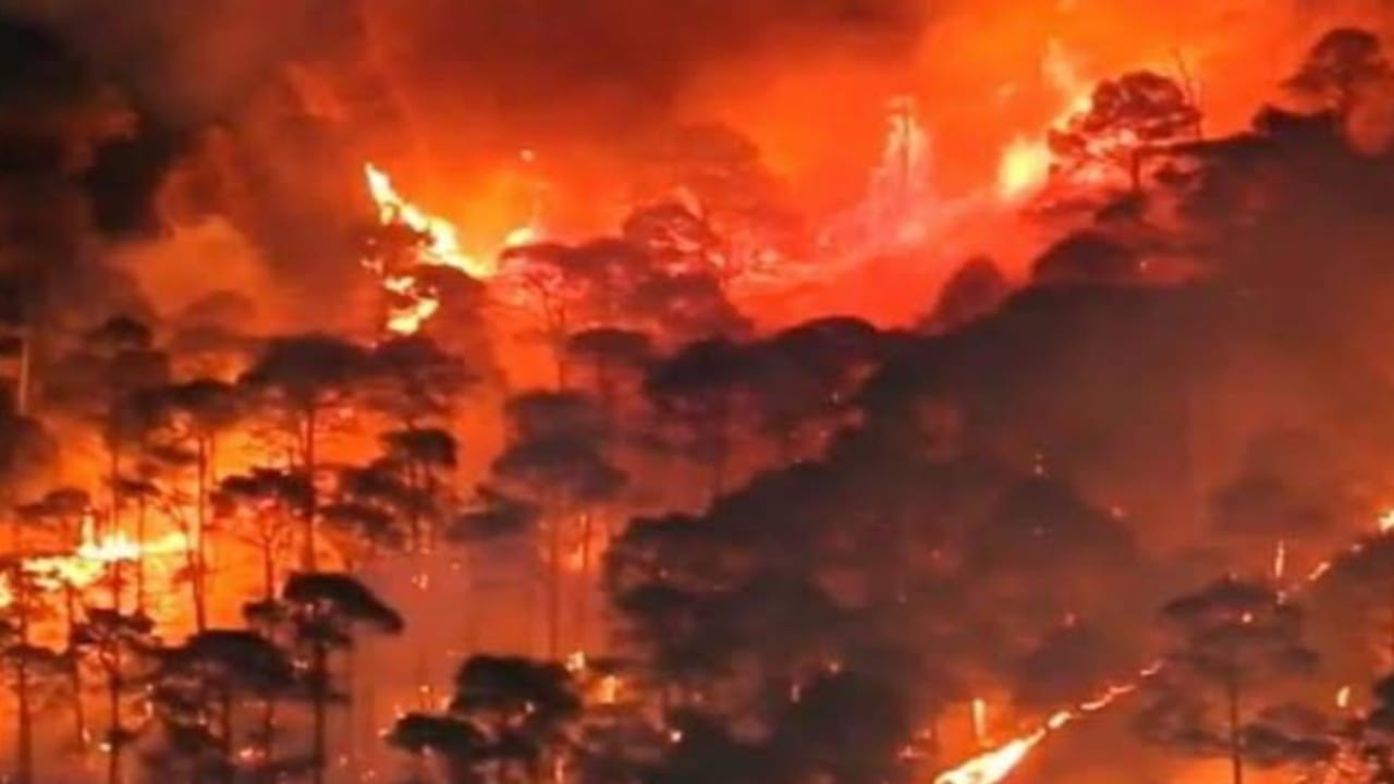 Nanda Devi forest fire: Air Force helicopter deployed at Joshimath ...