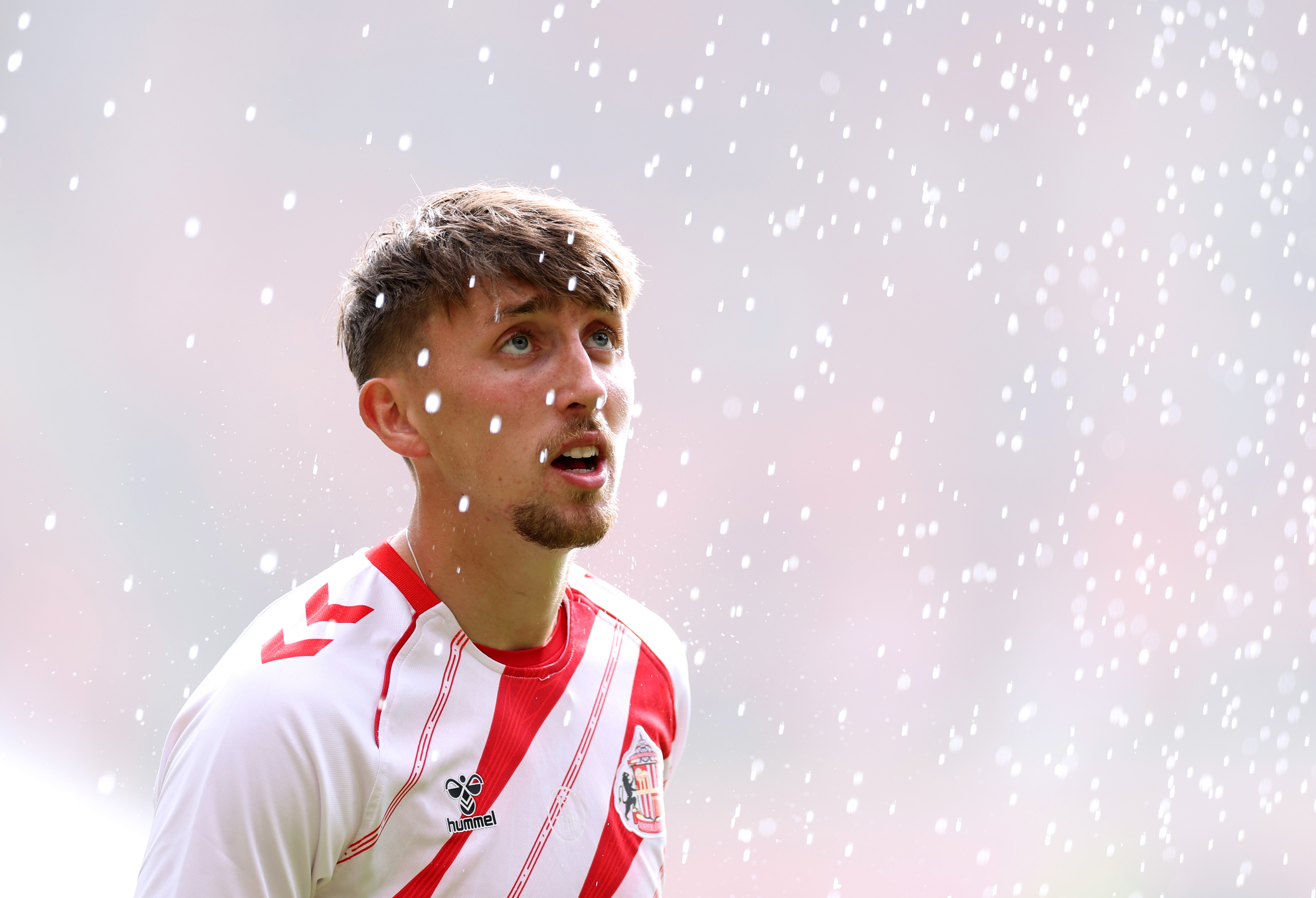 Gus Poyet delivers verdict on Dan Neil transfer future amid Sunderland ...