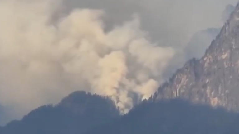 Uttarakhand's Valley of Flowers burning as lack of snow triggers wildfire