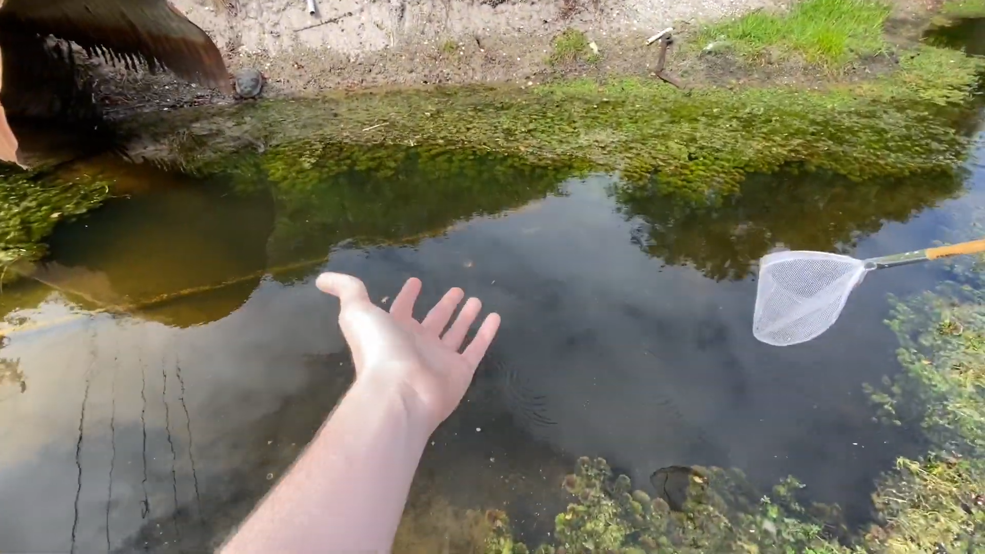 My fish trap went missing - Caught in a shocking discovery