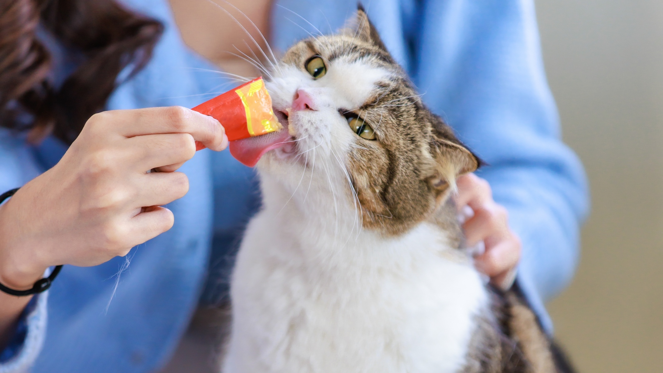 Deze etenswaren moet je echt nooit aan jouw kat geven