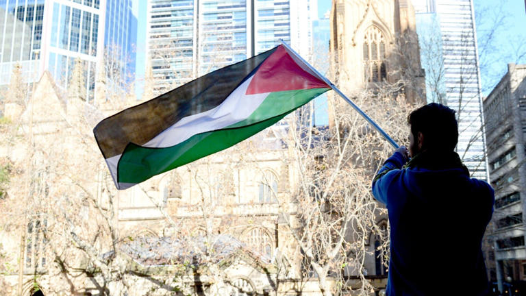 ‘Foolish’ protest planned for Sydney aims to ‘test’ the willpower of police