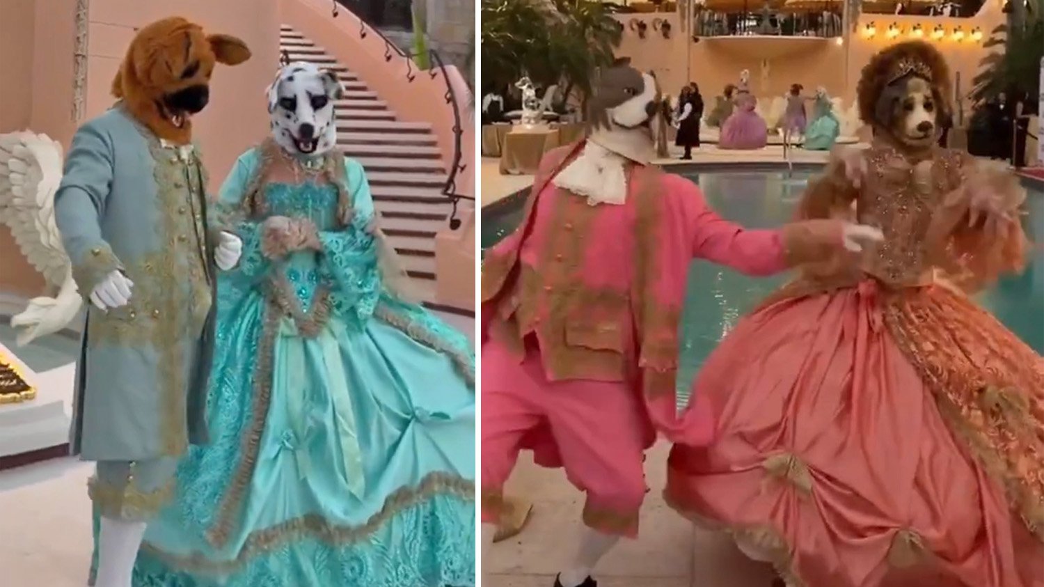 'MAGA furries' take over Donald Trump's Mar-a-Lago