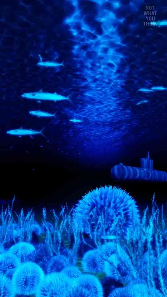 Why submarines aren't shaped like fish