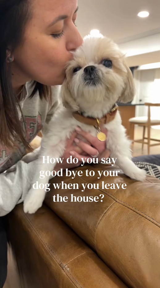 How you say goodbye to your dog matters