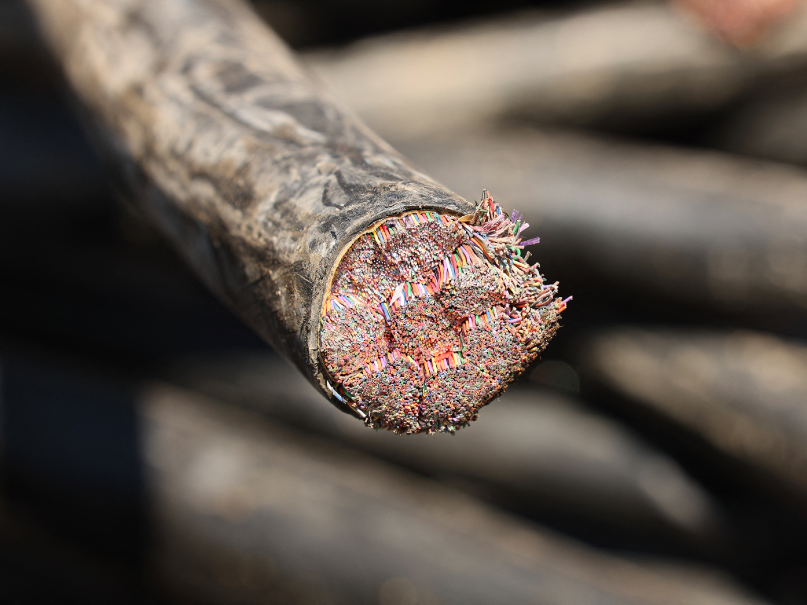 Asta Energy strebt an die Frankfurter Börse