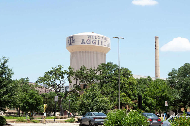 Texas A&M has big plans for building small nuclear reactors for its ...