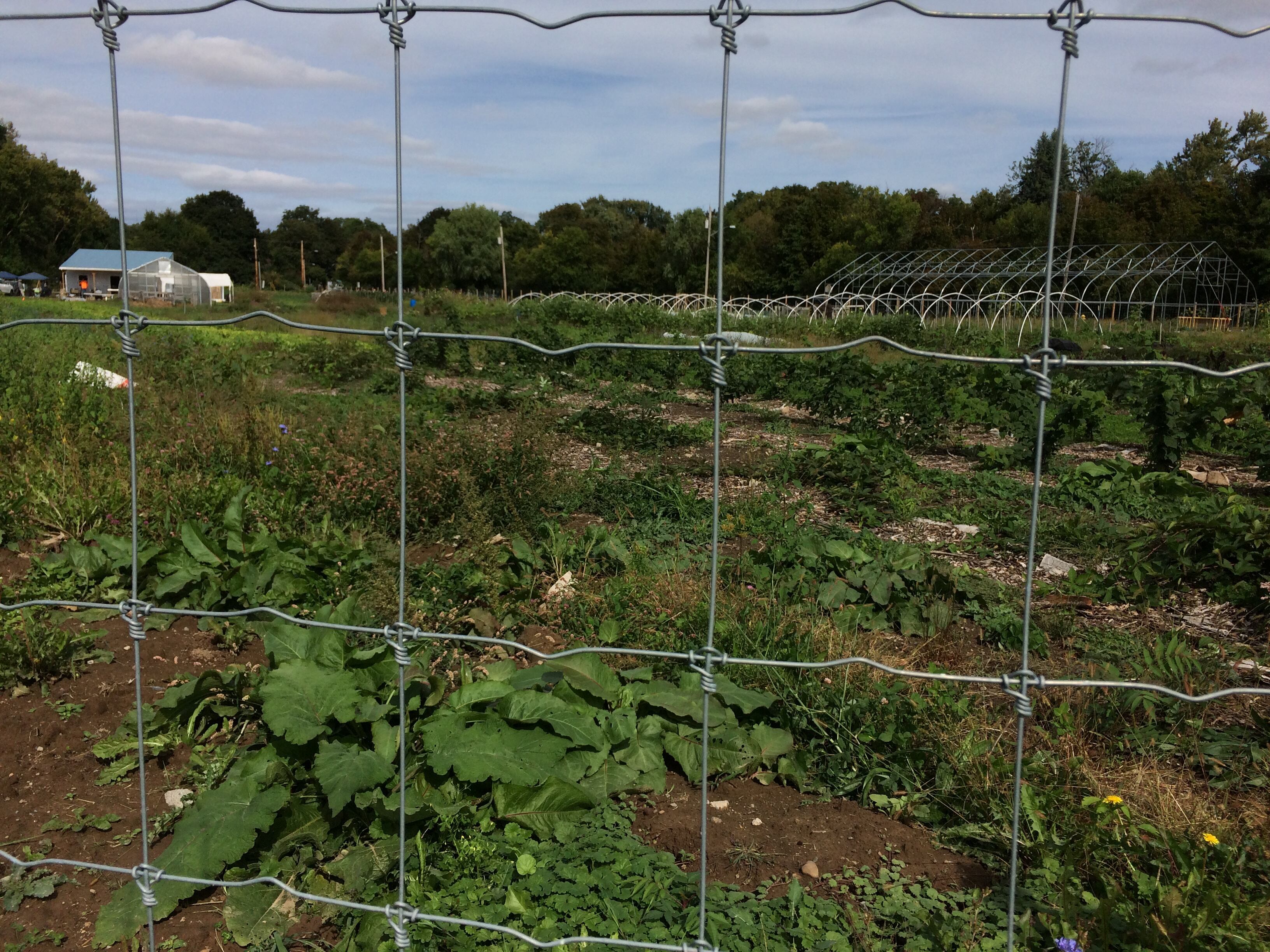 SOFSA’s Maura Ackerman on leadership: 'Don't do it till you're ready'