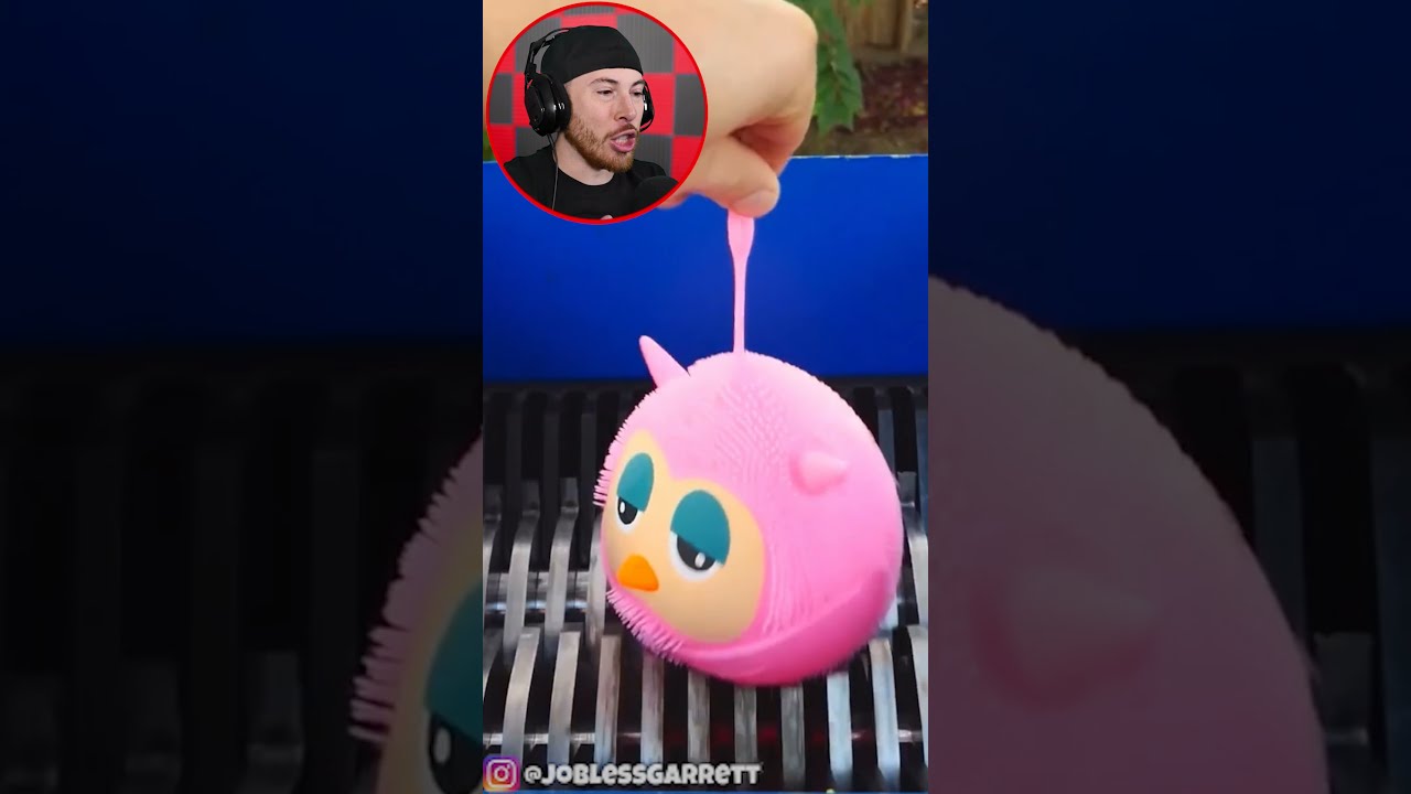 Random objects shredded for visual curiosity