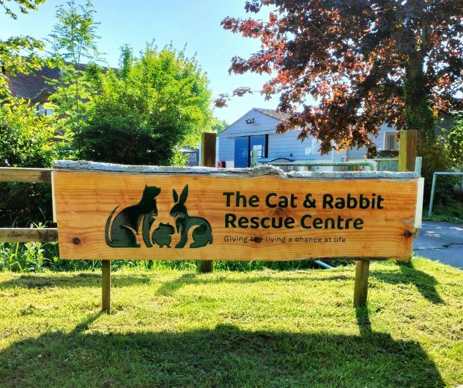 The Cat and Rabbit Rescue Centre celebrates 40 years of giving animals ...