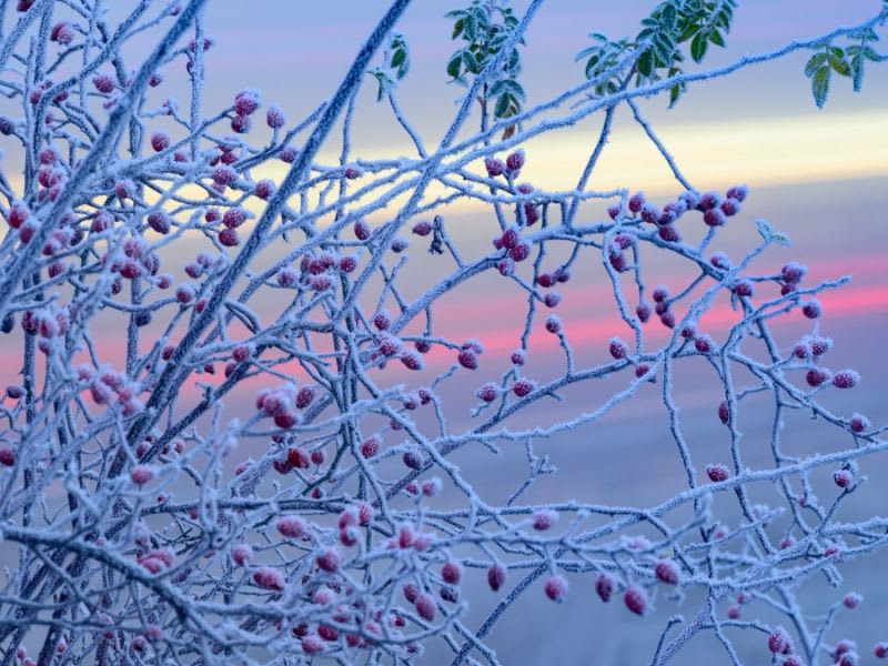 Wetterwarnung Ilm-Kreis bis morgen: Frostgefahr in mehreren Gemeinden