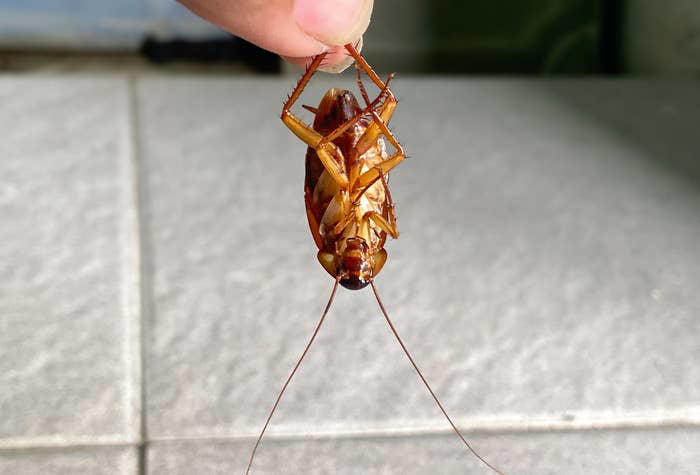 Professionals who enter people’s homes are sharing some of the most ...