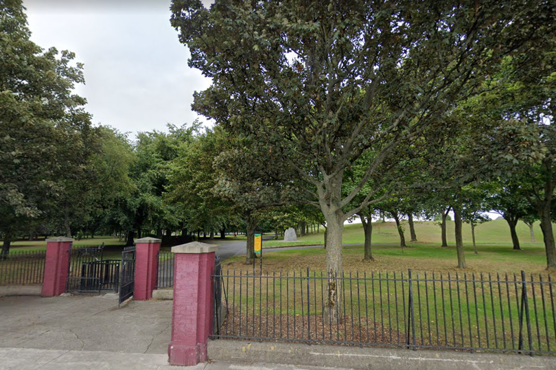 Call for lighting to make Crumlin park safe for female runners after dark