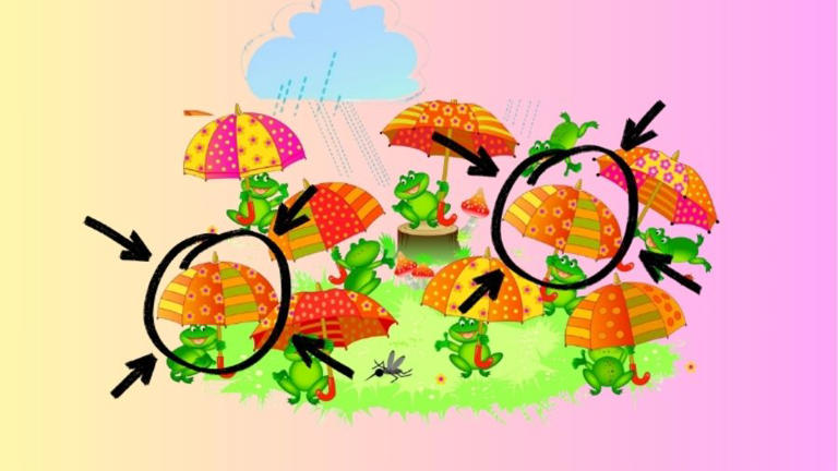 Can you spot the two identical umbrellas in this optical illusion?