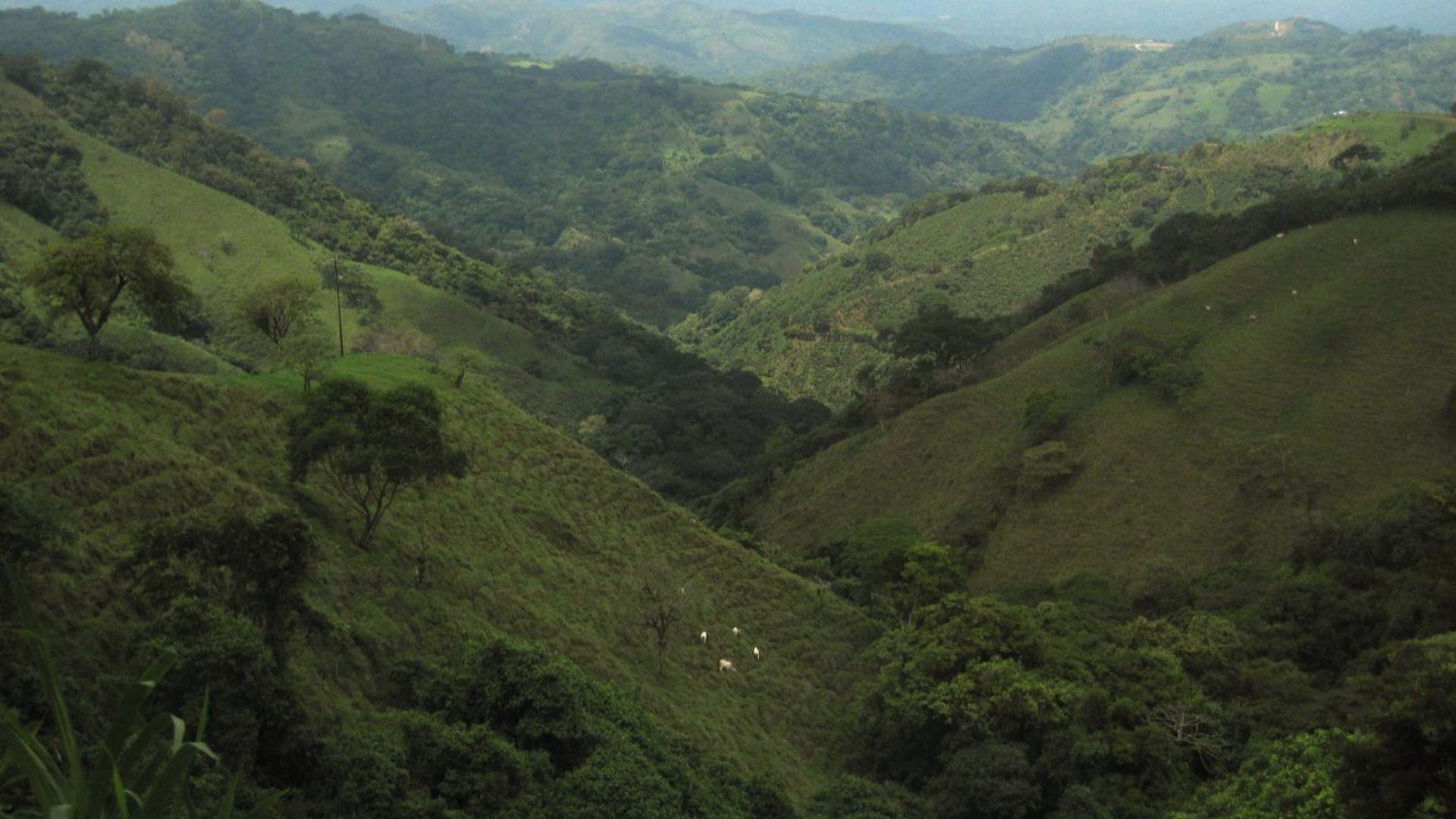 Americans fled to Costa Rica en masse, but here's why they're coming back