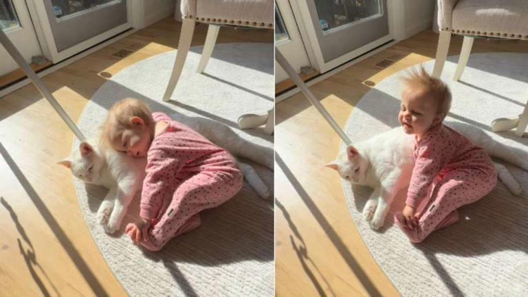 Little girl showers cat with intense love in heartwarming video
