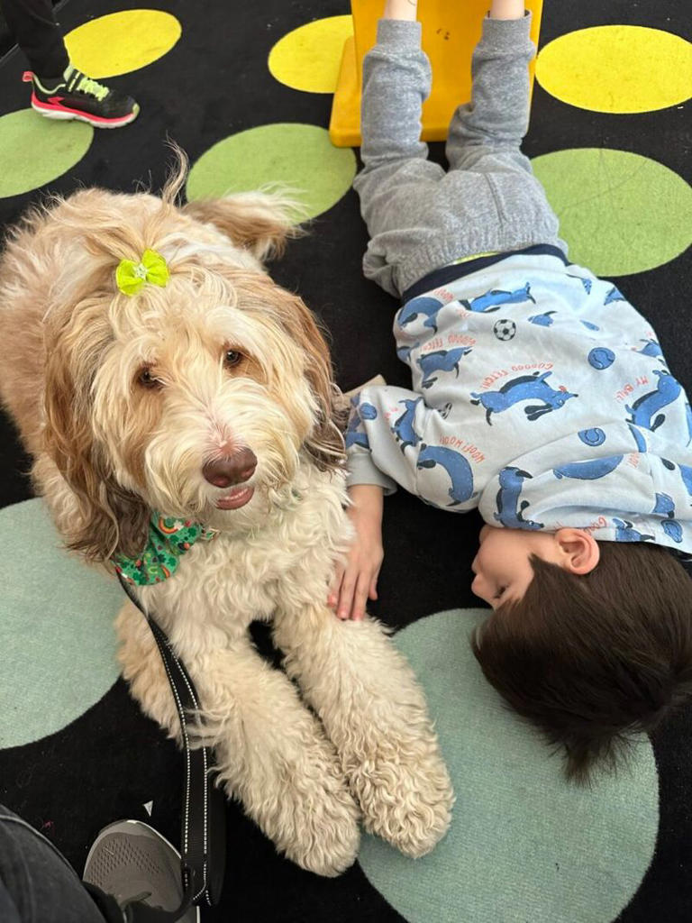 Dogs don't act out for no reason – 17 behaviors that signal owner ...