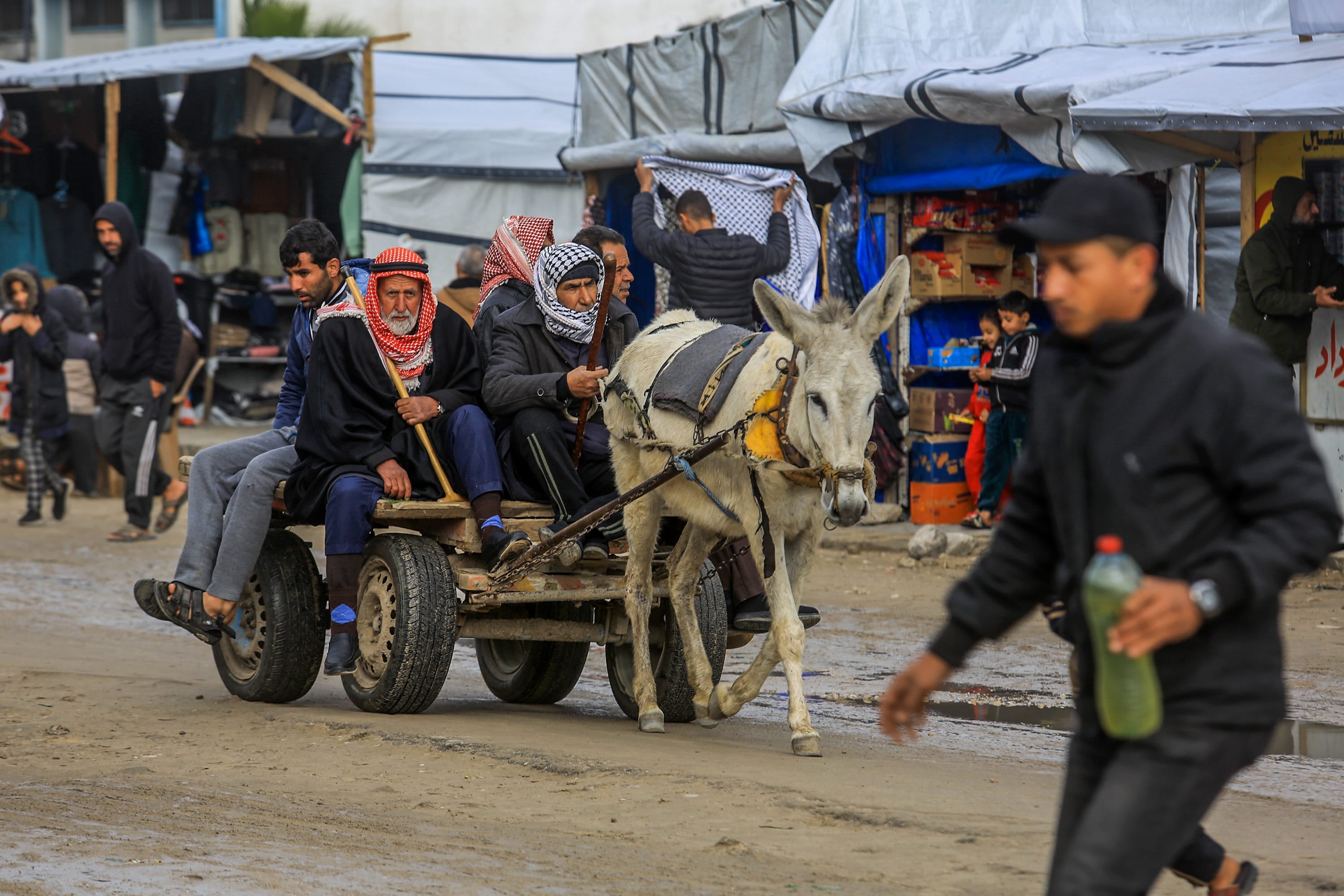 Who is Ali Shaath, leader of Gaza's new technocratic committee?