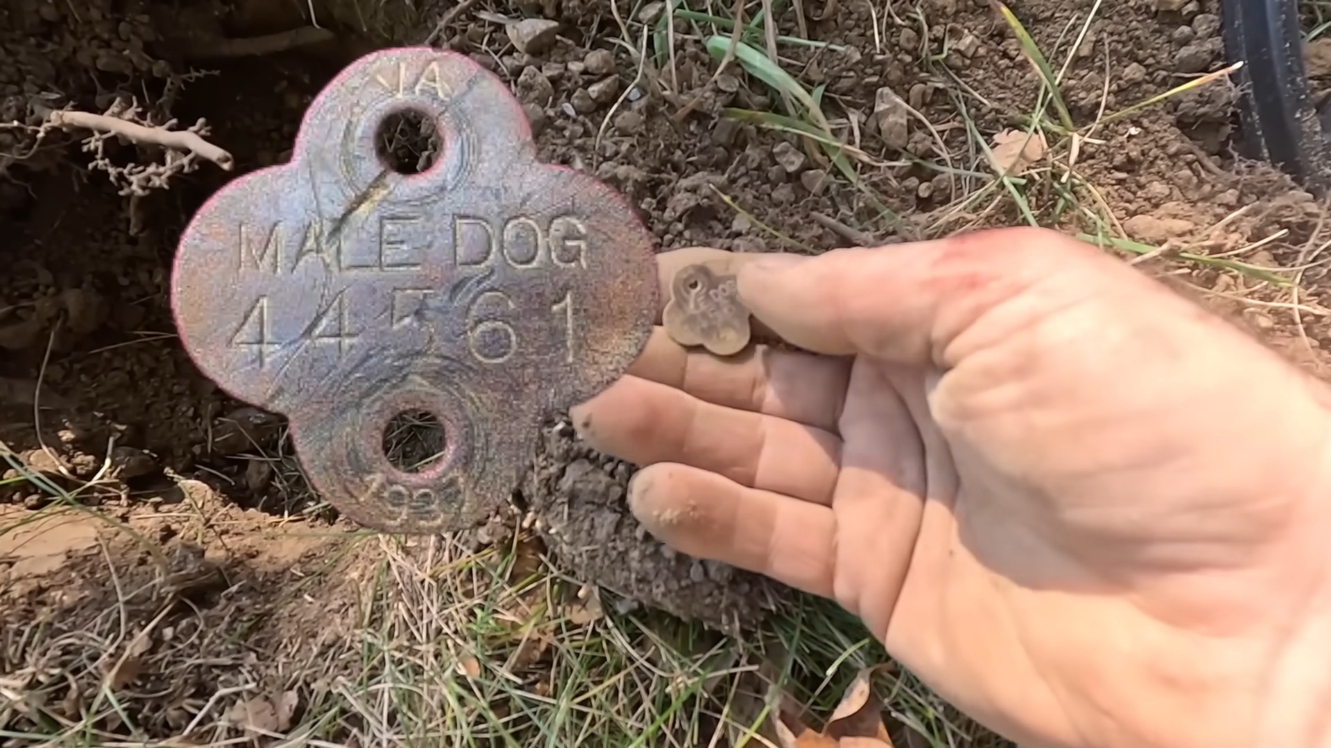 How time preserved the past beneath the trees - "Undisturbed"