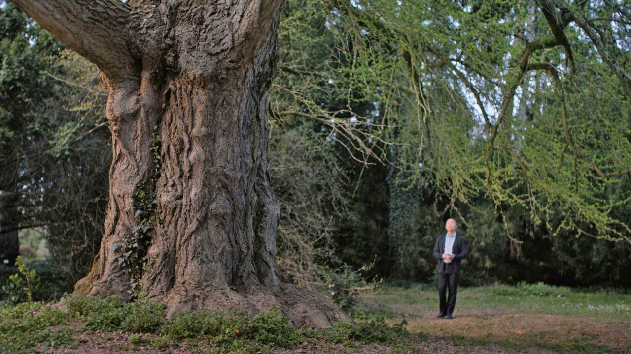 Ab heute im Kino: Das erste 5-Sterne-Meisterwerk des Jahres!