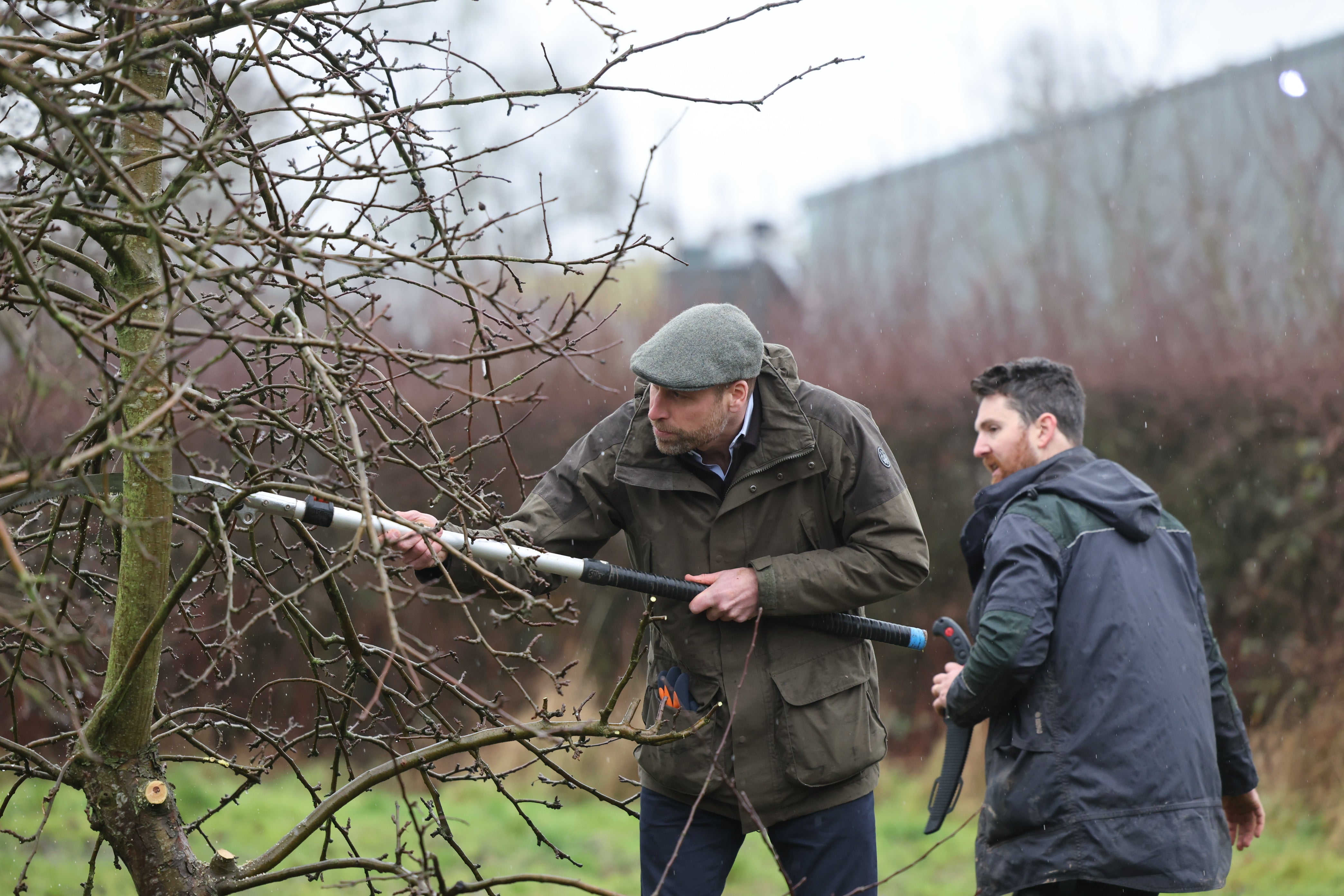 Prince of Wales branches out into tree-pruning on visit to family farm