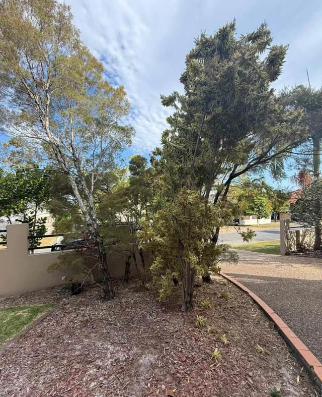 Gardener shares before-and-after photos after transforming sad patch of ...