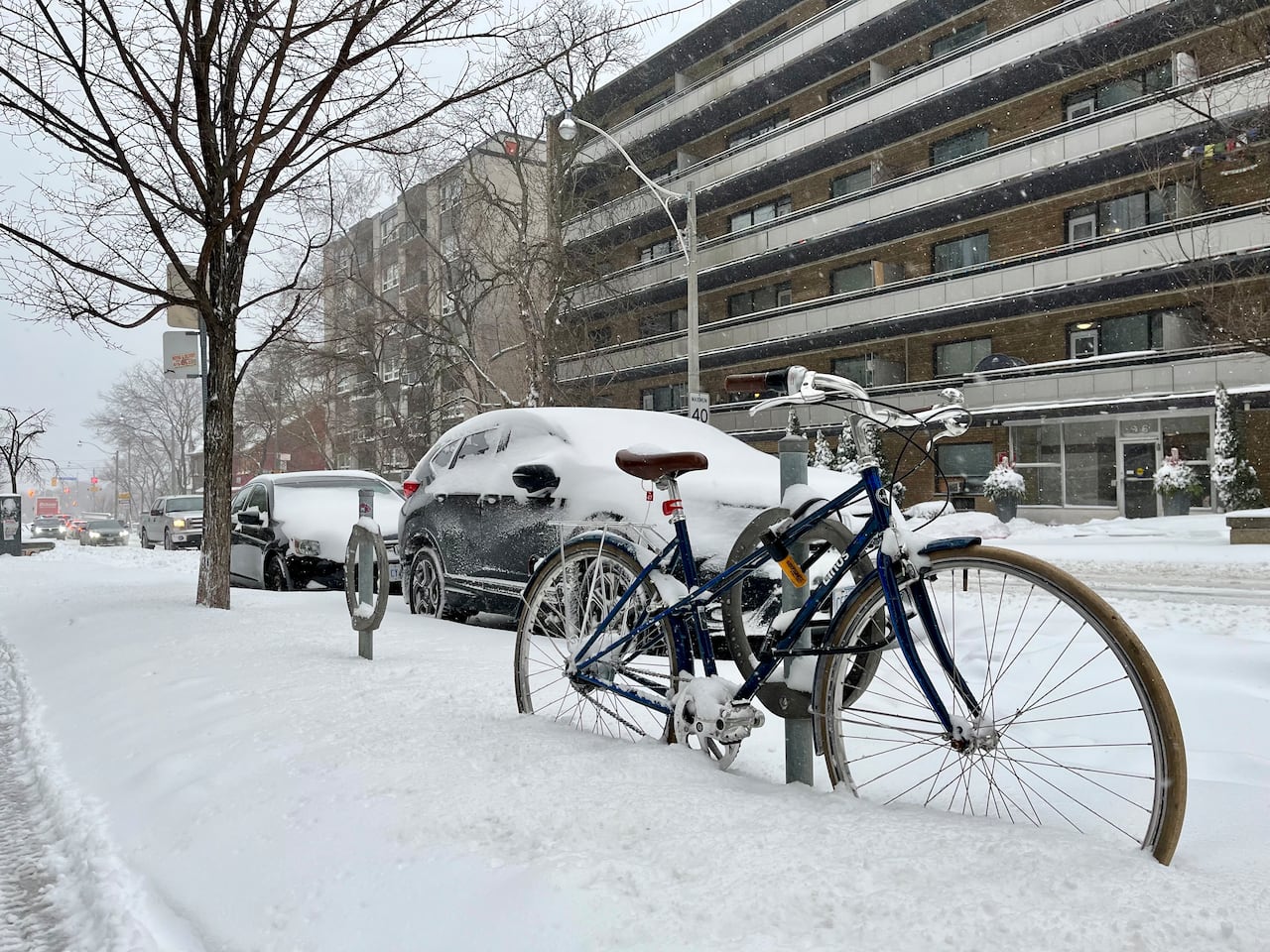 Snowy chaos shuts large parts of Don Valley Parkway, most GTA schools