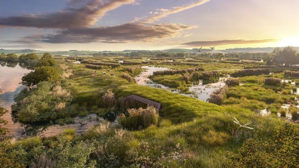 How floodplain could be restored to wildlife haven