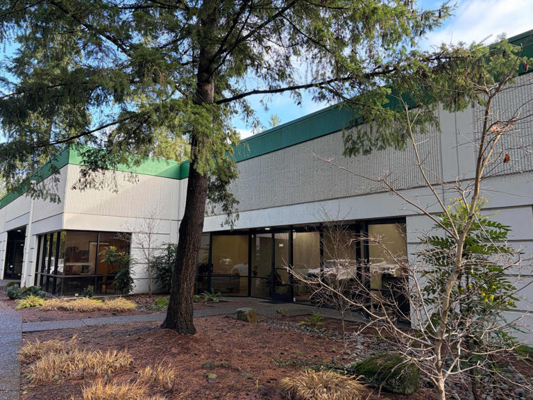 Disgraced Oregon CEO Doug Pitassi is trying to mount a comeback, his ...