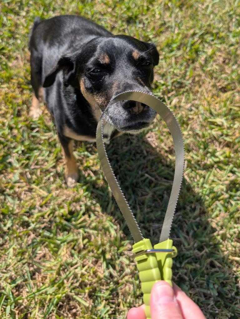 Coastal Pet Products brush review
