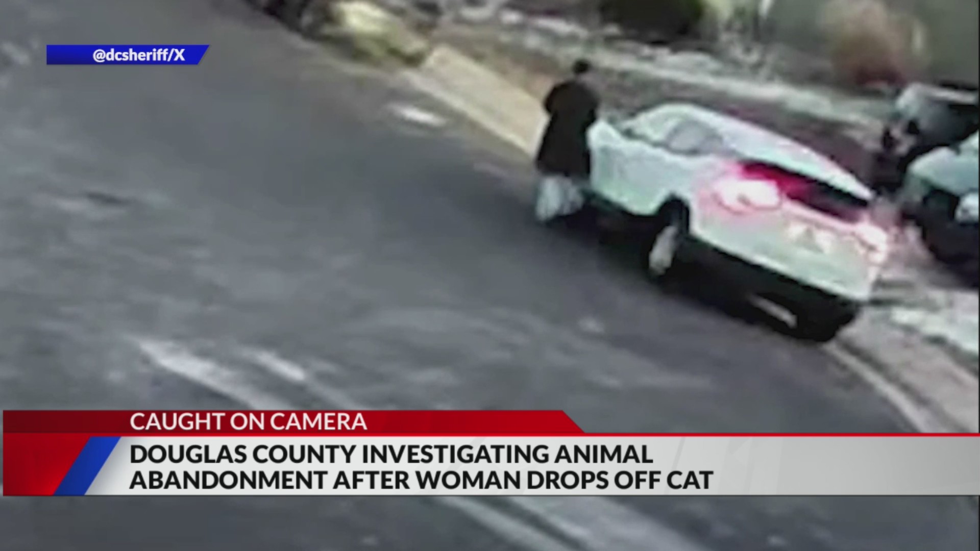 Douglas County investigating animal abandonment after woman drops off cat
